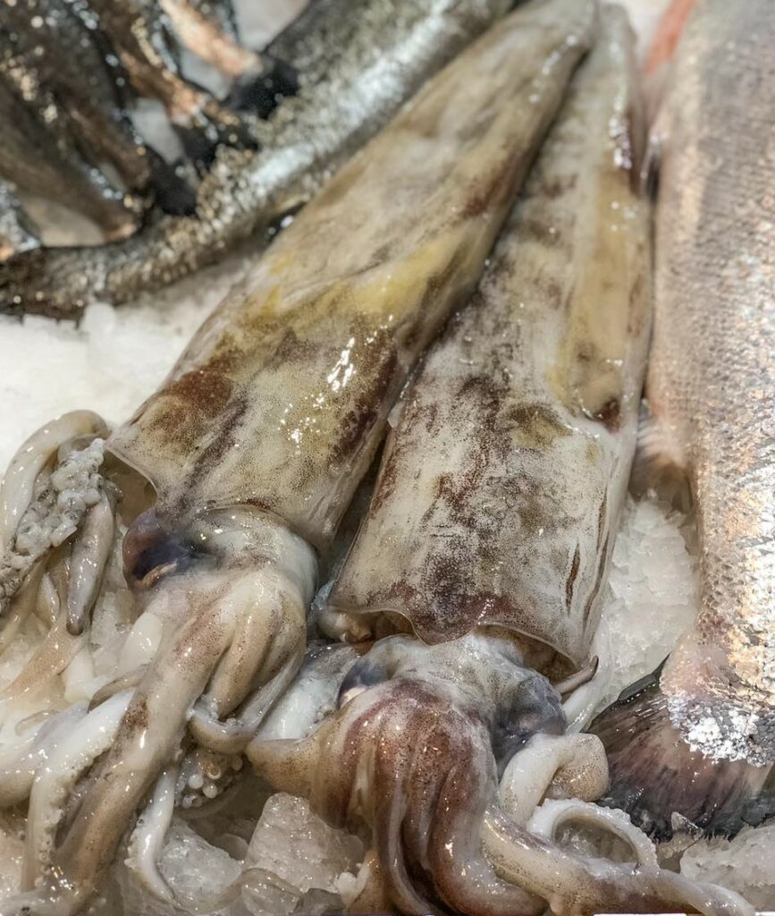 Lula grande dos Açores – Doca Peixe – Comércio e Distribuição de Peixe ...