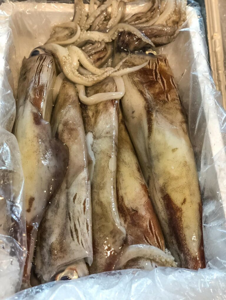Lula grande dos Açores – Doca Peixe – Comércio e Distribuição de Peixe ...