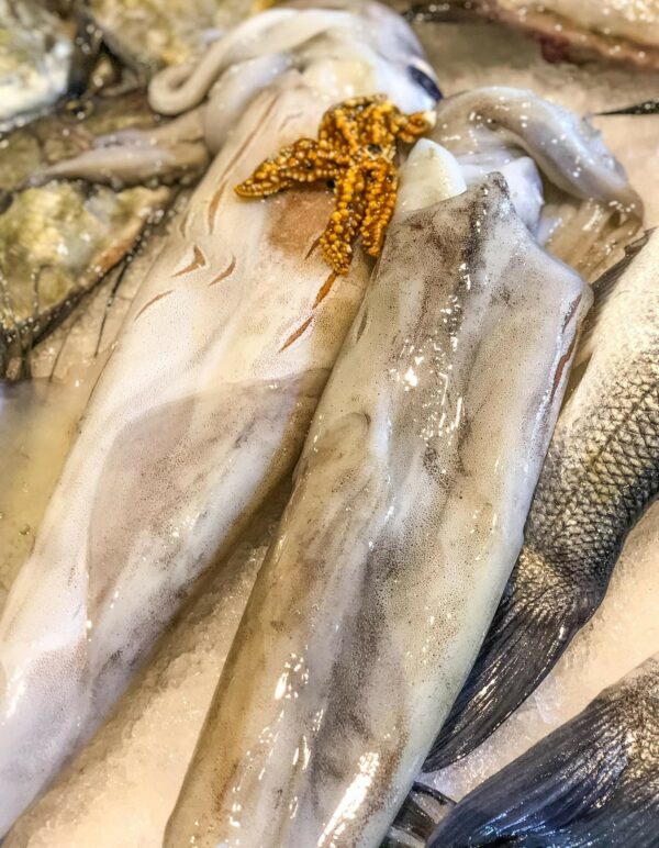 Lula grande dos Açores – Doca Peixe – Comércio e Distribuição de Peixe ...