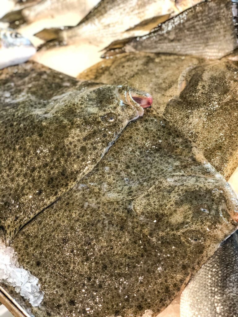 Pregado Aquacultura – Doca Peixe – Comércio e Distribuição de Peixe Fresco